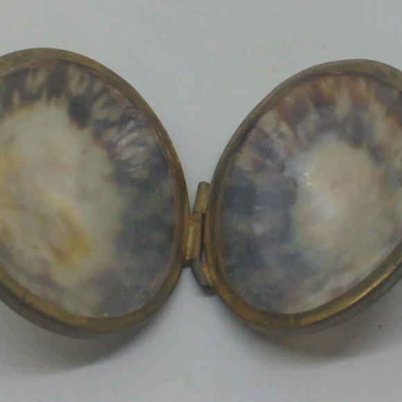 Shell Box or Bag | Bags | Shell Pill Box Or Shell Bag | Poshmark